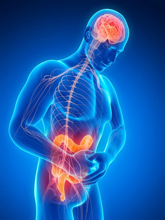 Le CHI NEI TSANG c’est quoi ? - Soins énergétiques Vannes